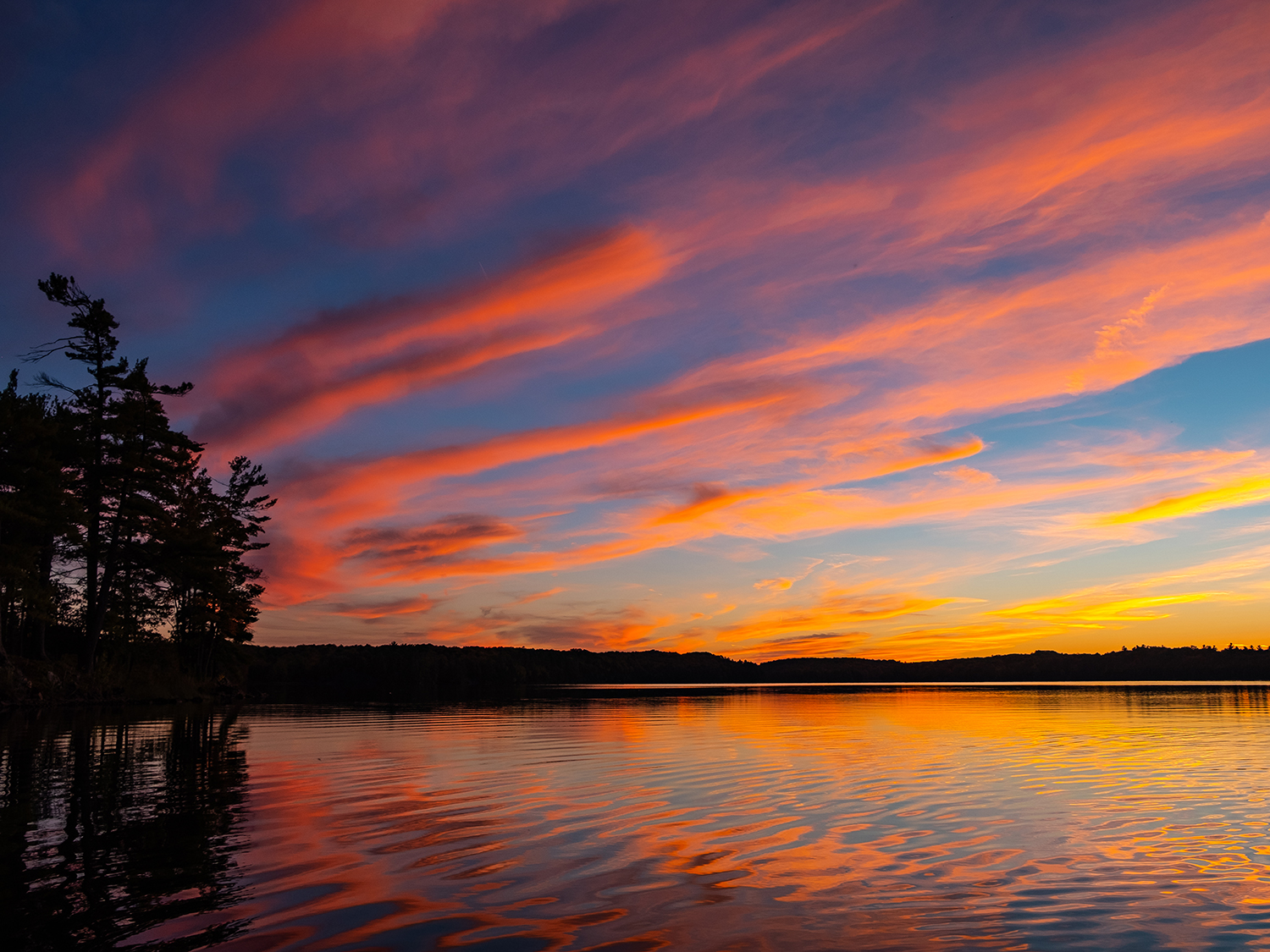 Greeting Cards for Adventurers and Naturalists | Lay of the Land Cards